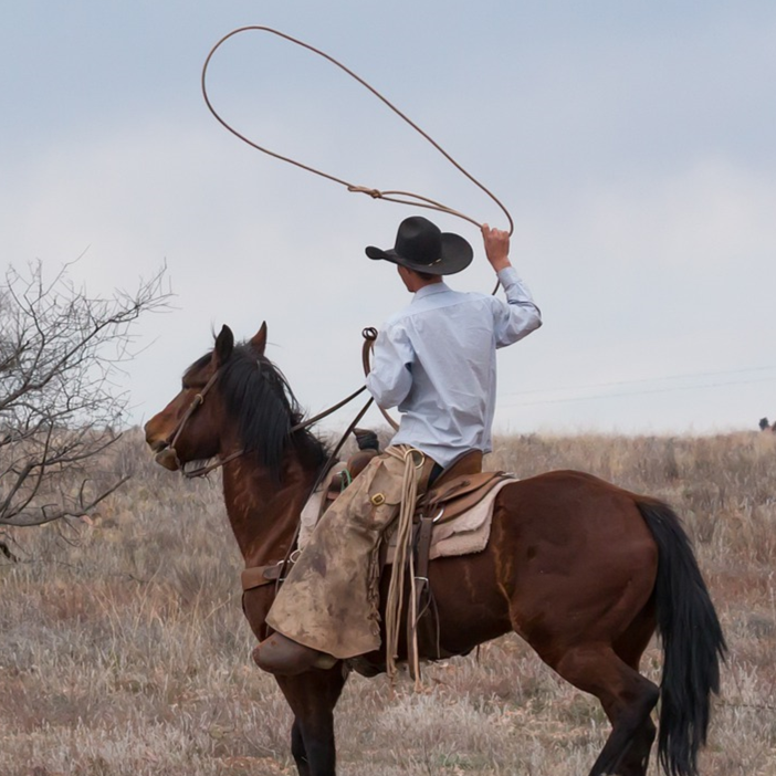 Data Wrangling – Nestria